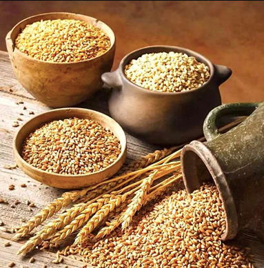 Flours, Grains & Pulses – Spice World